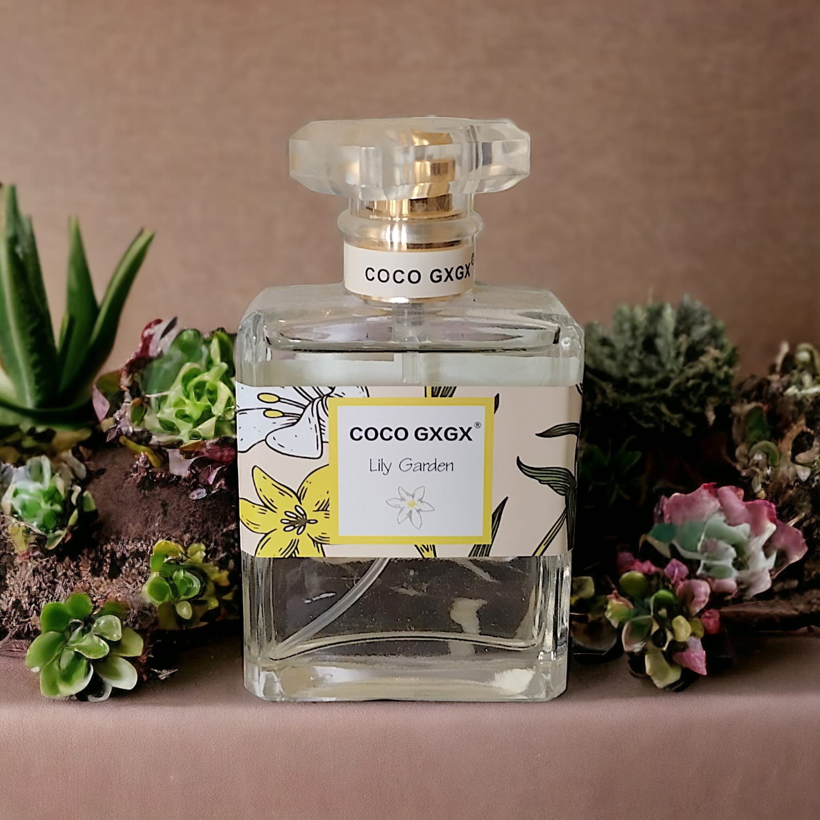 COCO GXGX LILY GARDEN - Budget Shopping